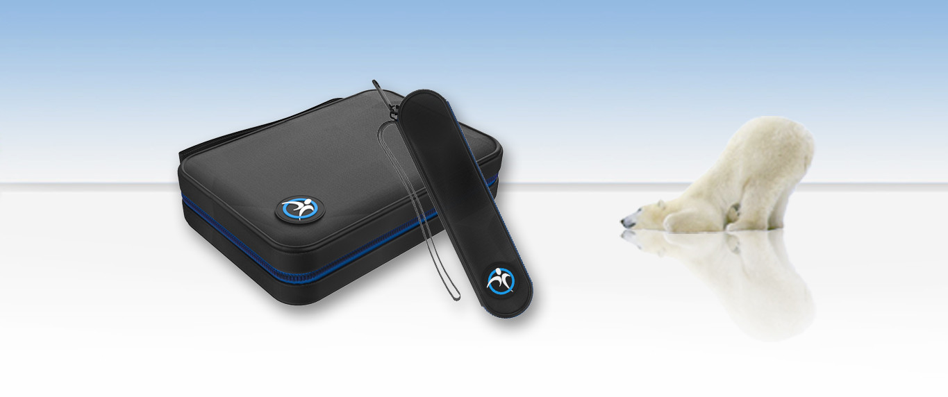 polar bear – MedActiv Canada